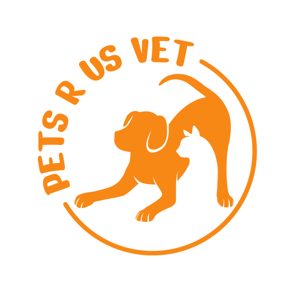 Best Veterinary Clinic In Smyrna, TN 37167 | Pets R Us Vet